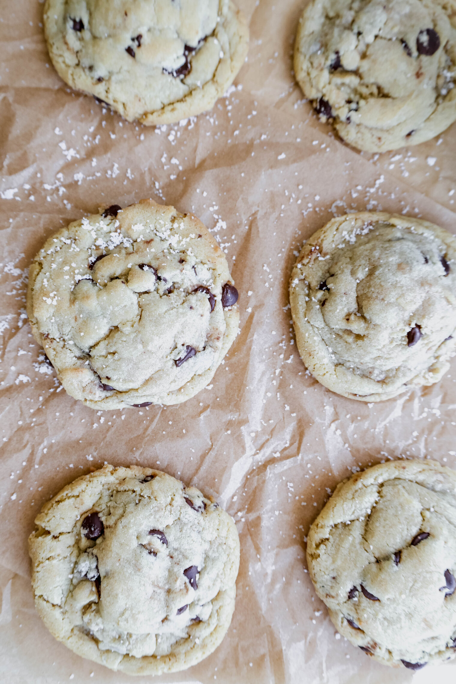 Chewy Chocolate Chip Cookies Recipe
