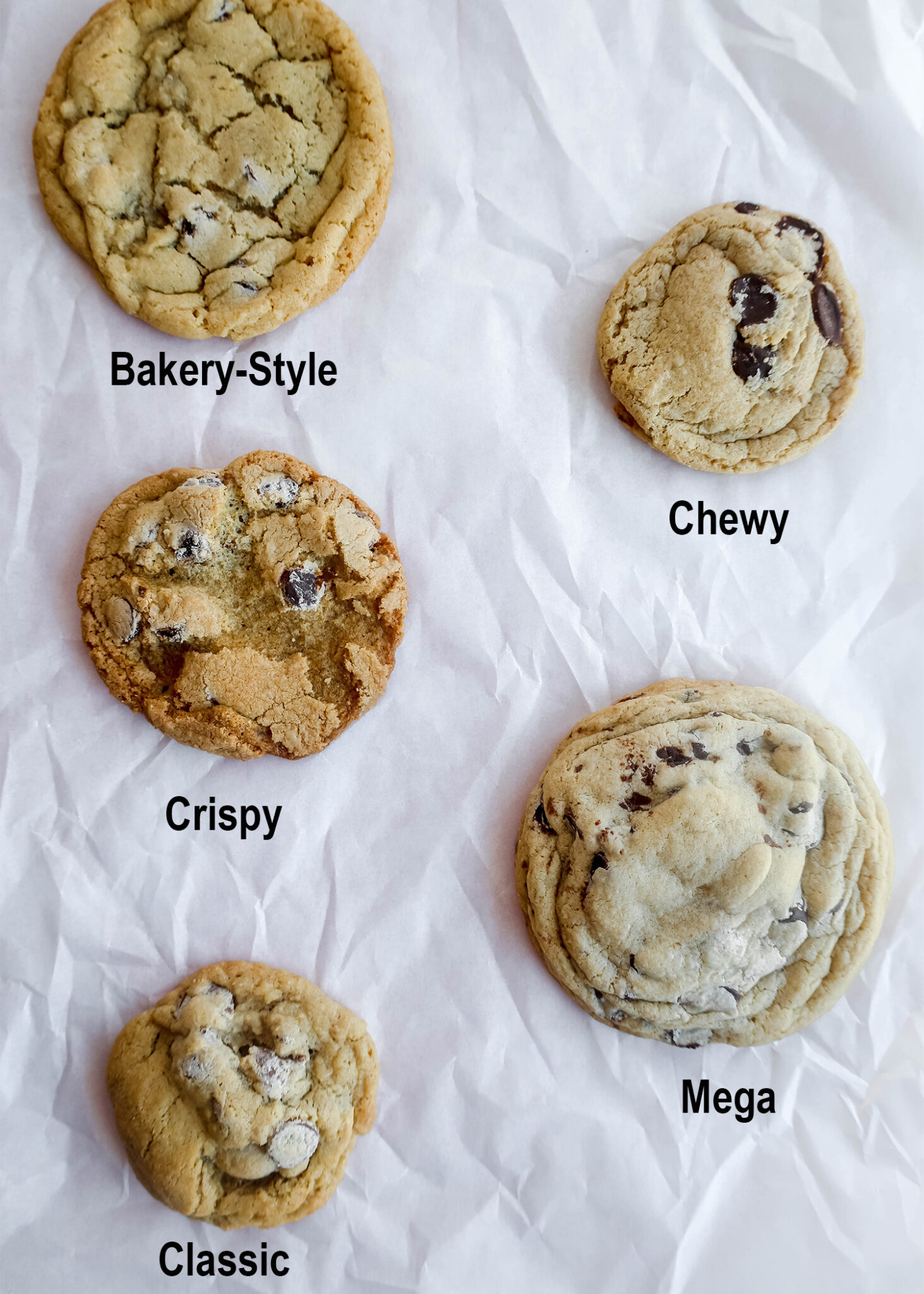 The Ultimate Guide to 5 Chocolate Chip Cookie Styles